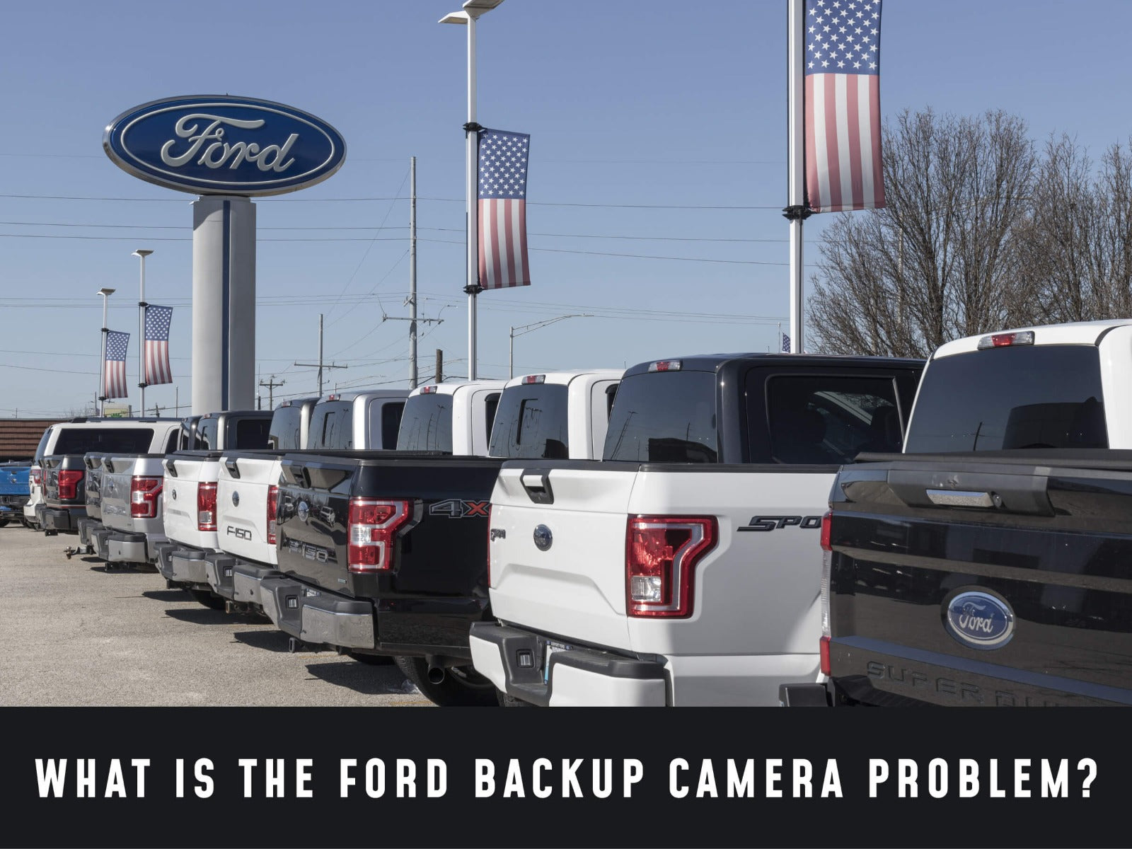 What is the Ford Backup Camera Problem? Causes and Solutions – Camera ...
